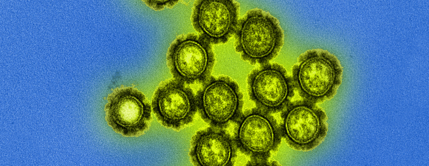Dampened immunity during pregnancy promotes evolution of more virulent ...